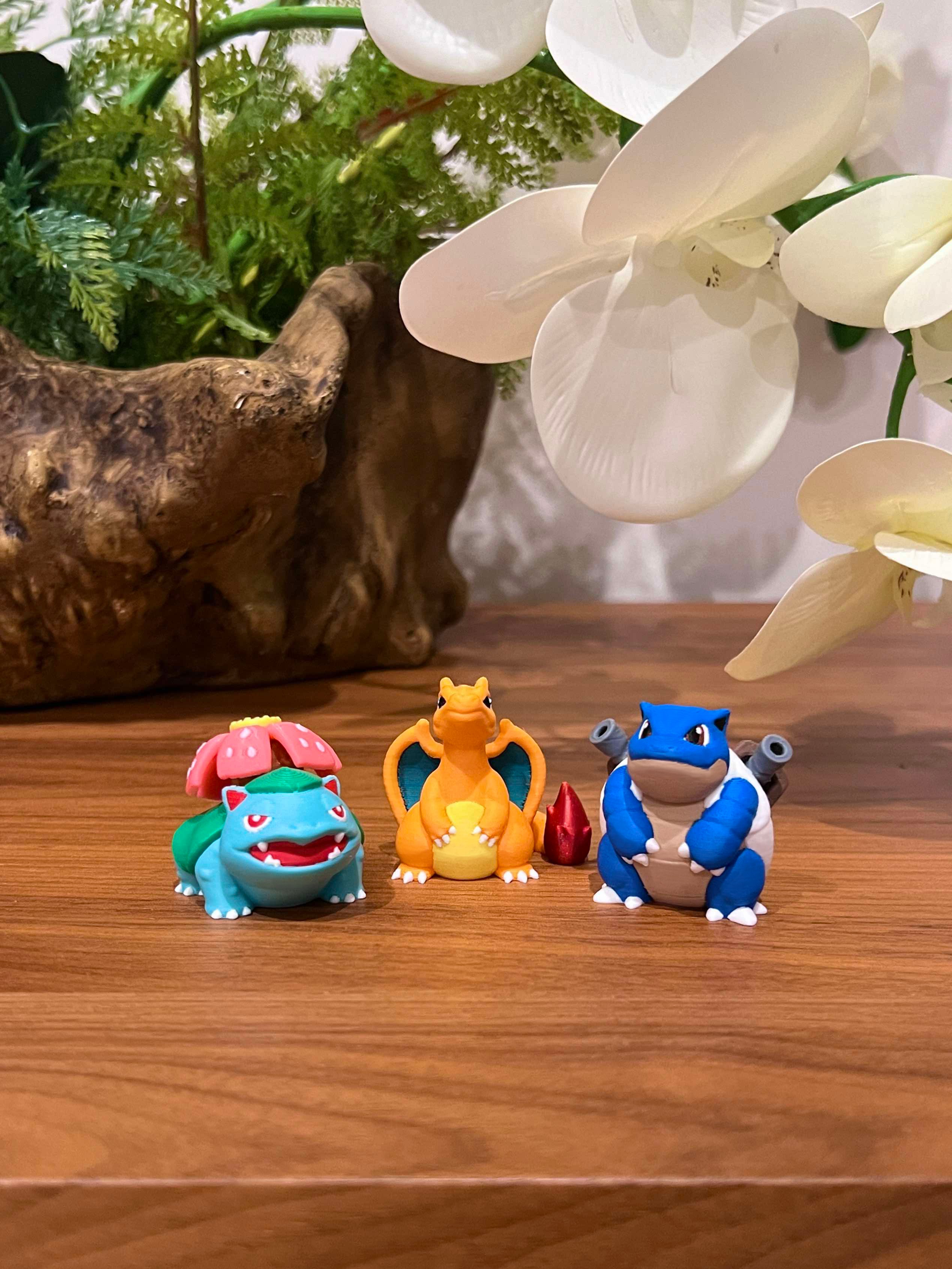 Pokemon – Animon Studios